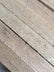 Tree Support Stake - White oak Tree Stake - Treated Pine Stake – Tree Pro